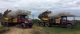 Dale Tree Movers & Tree Farm Dale Tree Movers & Tree Farm