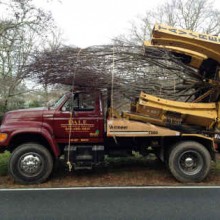 Equipment - Dale Tree Movers & Tree Farm Dale Tree Movers & Tree Farm